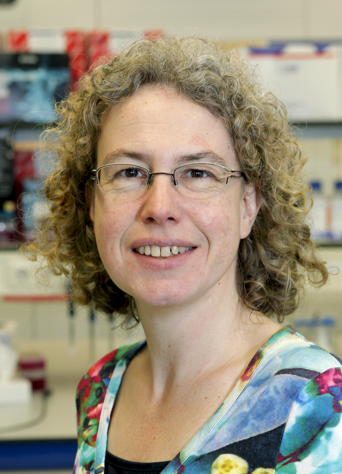 Gerjo Van Osch - cartilage.org